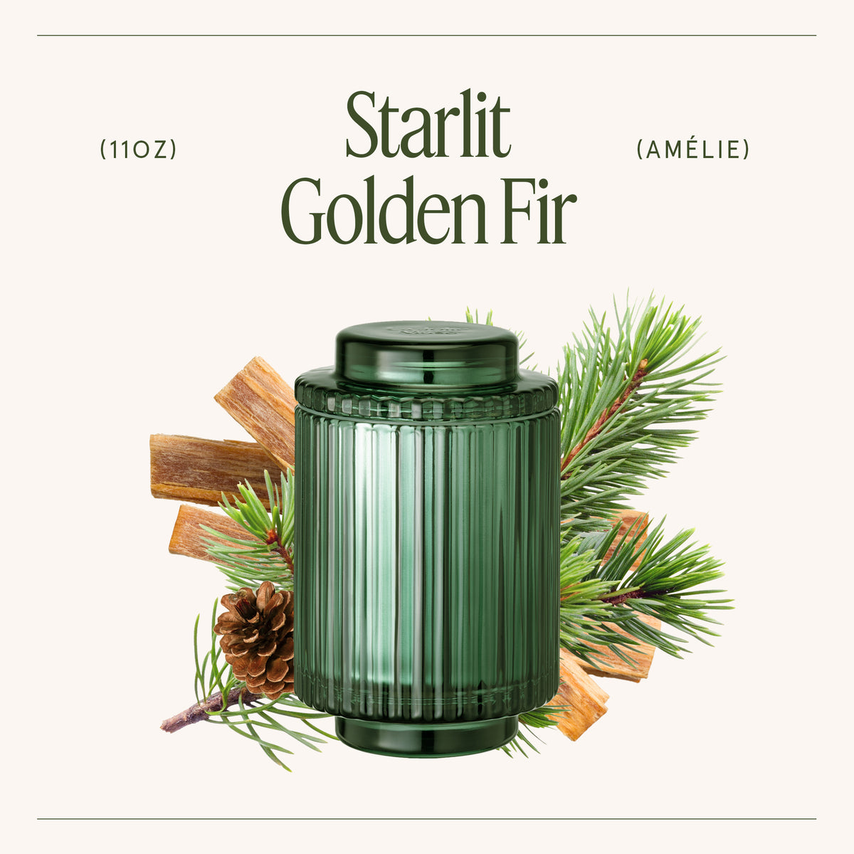 Amélie – Starlit Golden Fir 11oz Candle – LA JOLIE MUSE
